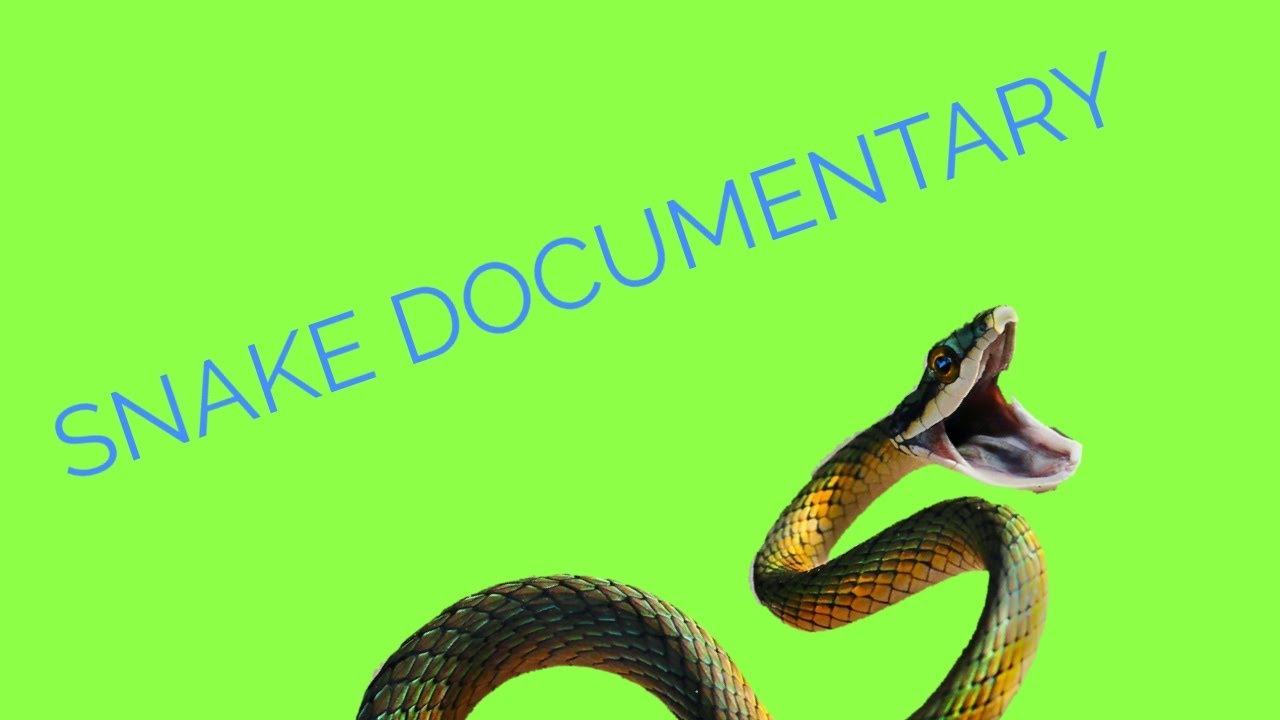 Snake documentary - YouTube