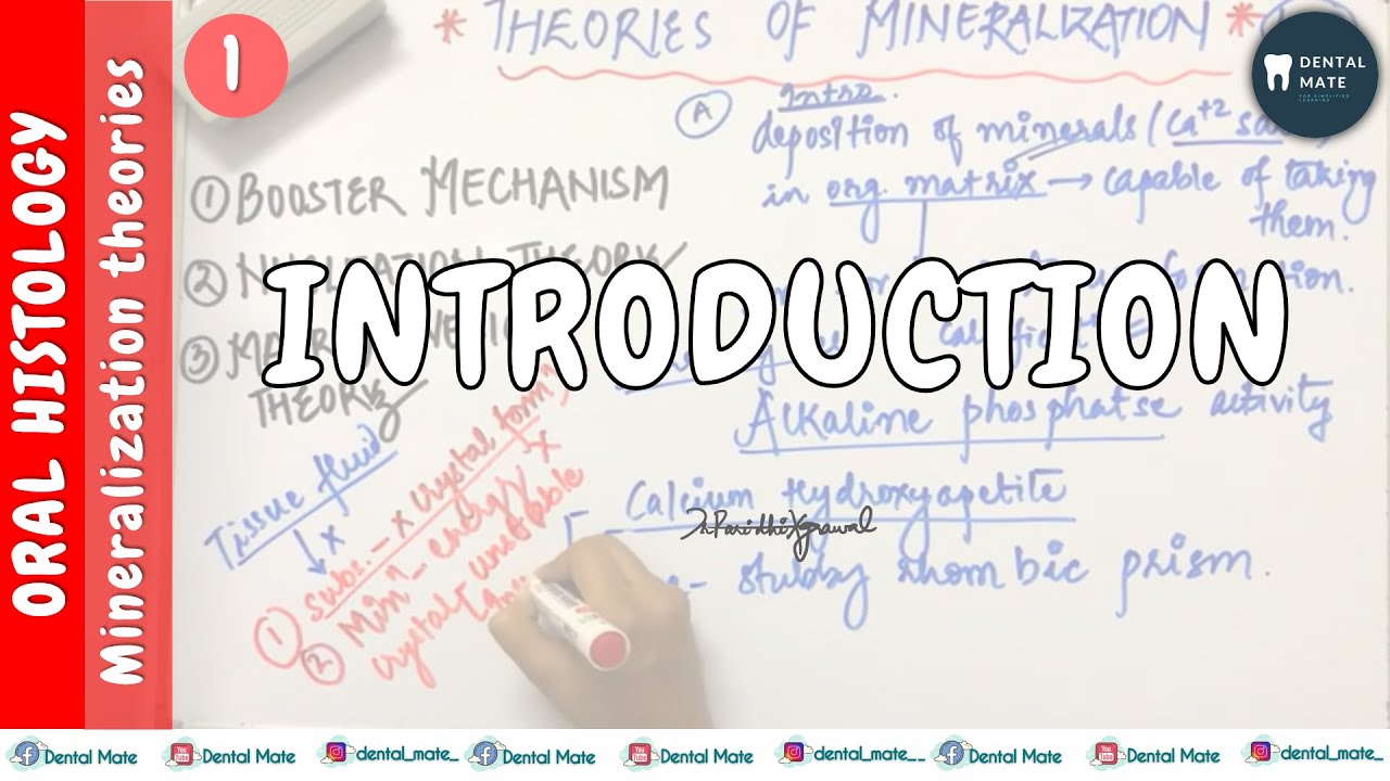 Theories of mineralisation | Introduction | Dr Paridhi Agrawal - YouTube