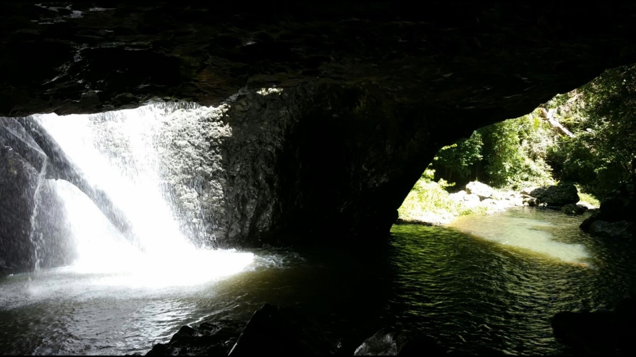 Natural Bridge/Arch Waterfall & Cave Bats, Numinbah Valley, GC - YouTube