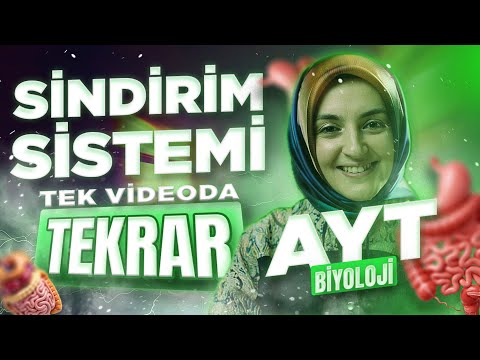 5) Sindirim Sistemi FULL TEKRAR + Son 5 Yılın ÖSYM Analizi | AYT Biyoloji YKS 2026