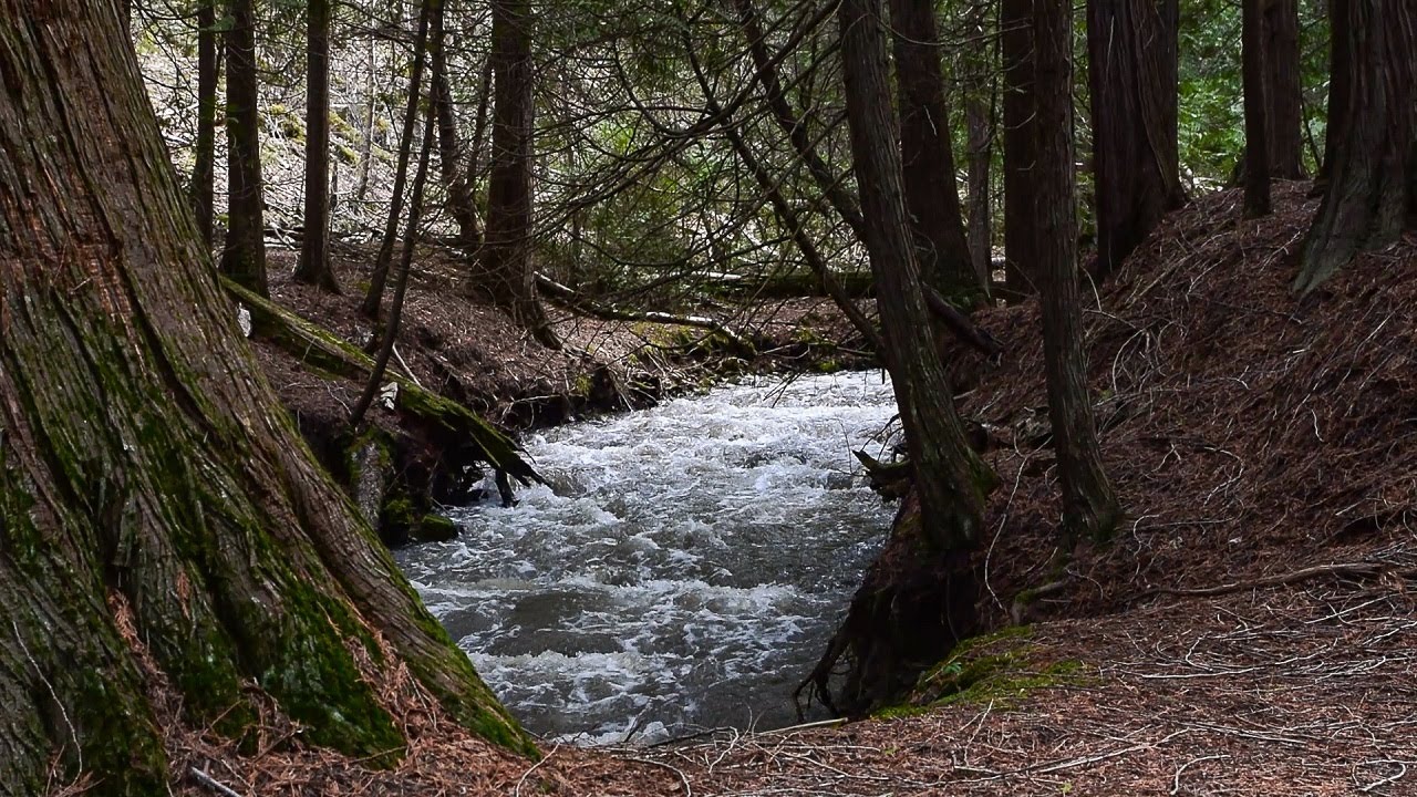 A Waterfall Hike With a Scary Ladder - YouTube