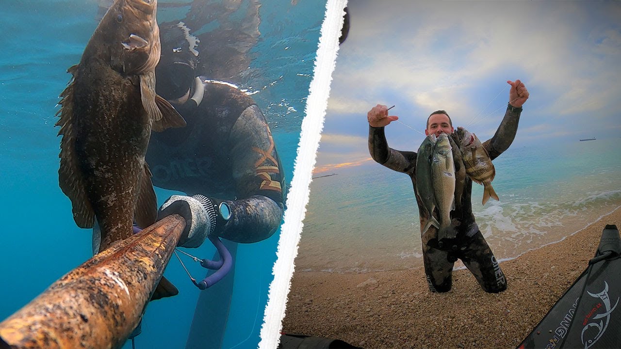 Spearfishing Groupers, SeaBass and more Mediterranean Fish in Lebanon ...
