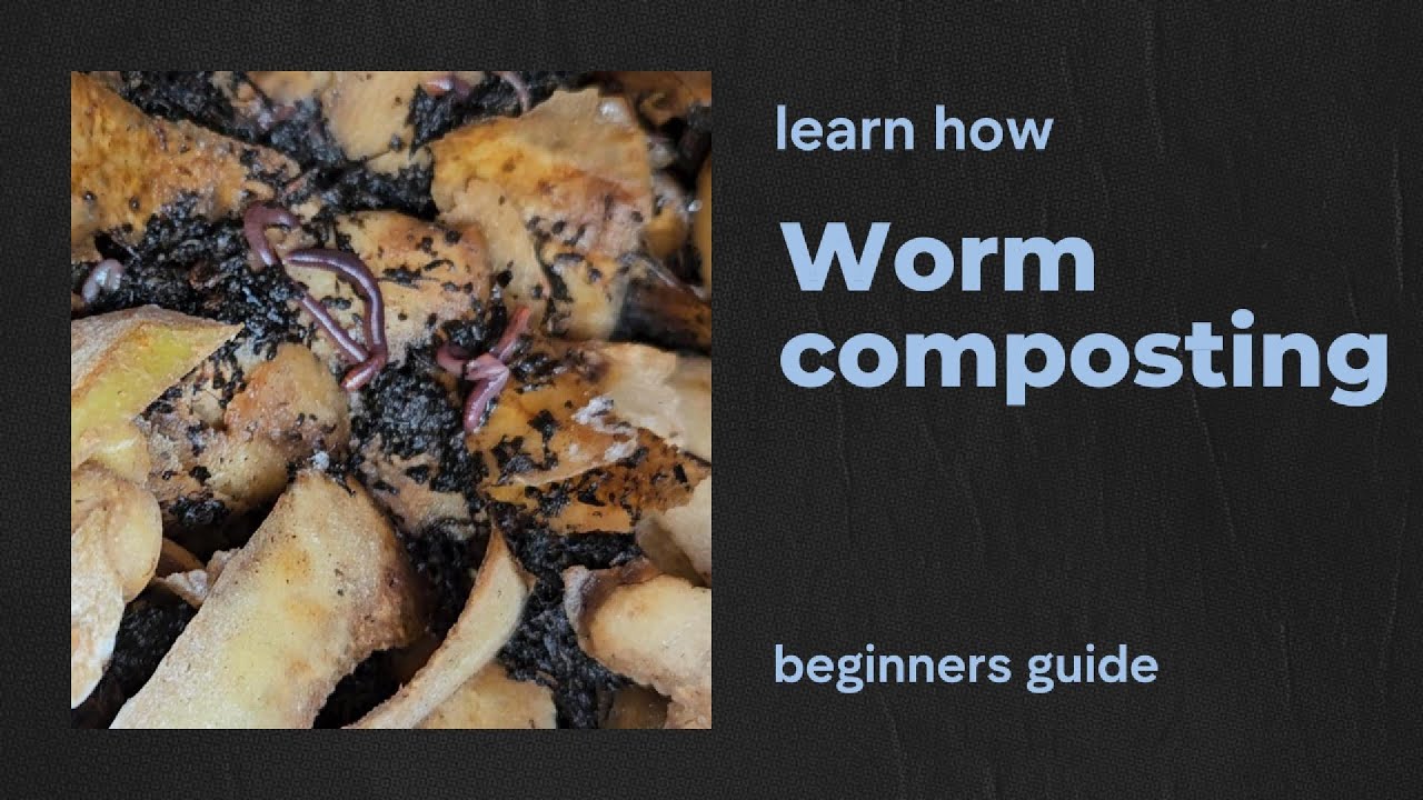 Learn how Worm Composting #recycle #waste #worms #compost #organic #tutorial #tutorials #diy ...