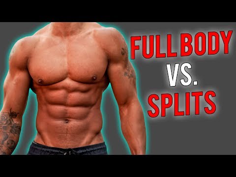 Must I Do Full-Body Workouts or Break up by Part Of The Body - Fitness ...
