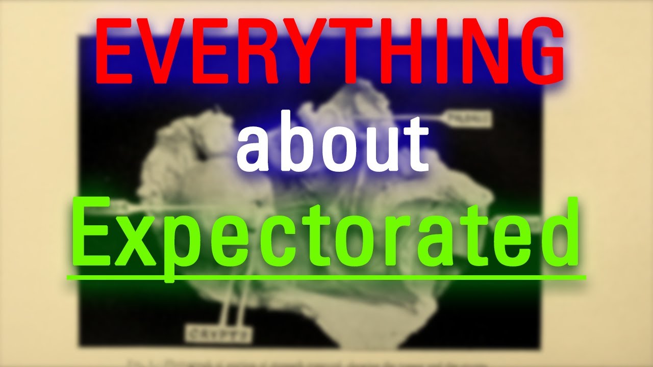 What is Expectorated? | How to Say Expectorated in English? | How Does ...