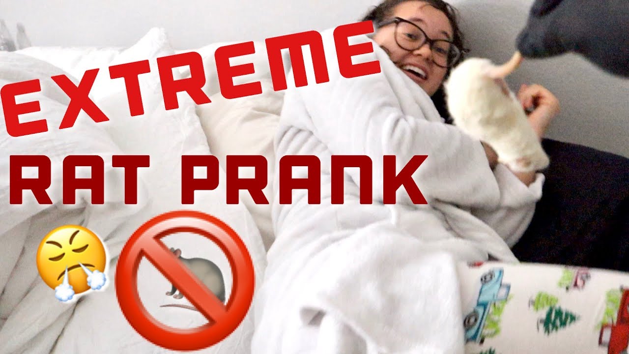 EXTREME RAT PRANK ON GIRLFRIEND!!!! - YouTube