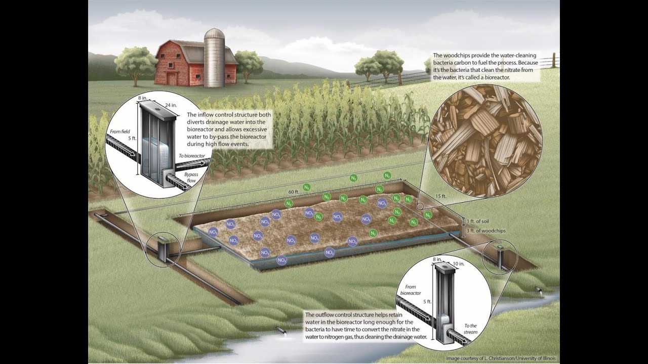 Agricultural Runoff - YouTube