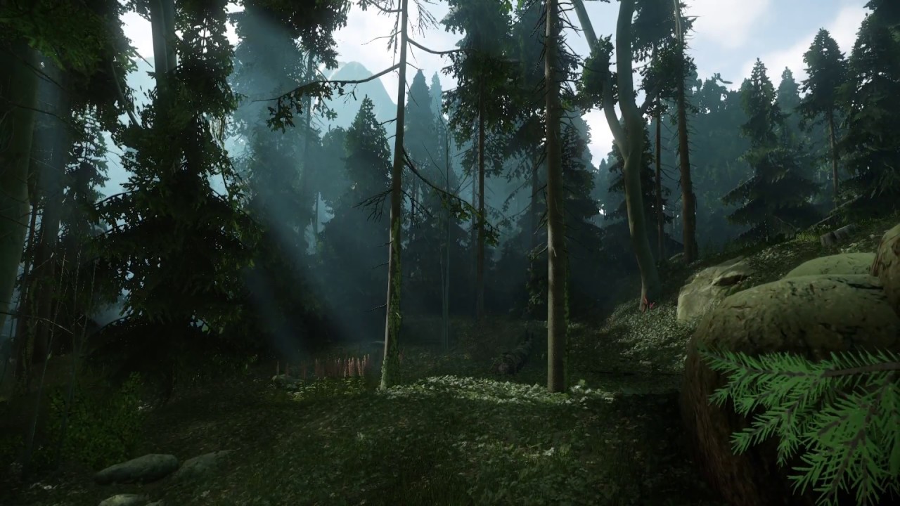 German Forest CRYENGINE 5 - YouTube
