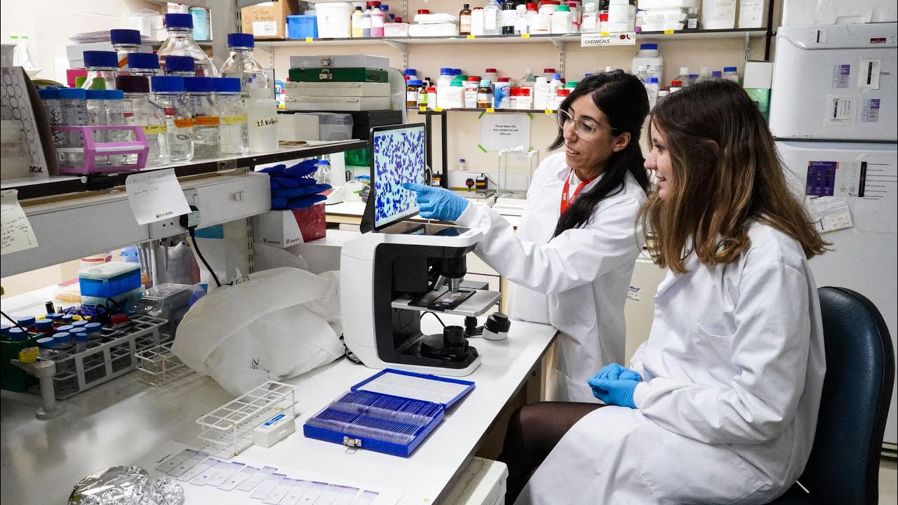 KHP meets Dr Sara El Hoss, sickle cell disease researcher at King's ...