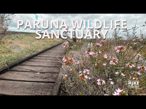 Paruna Wildlife Sanctuary - YouTube