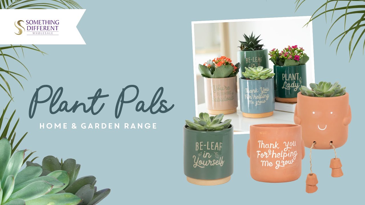 Plant Pals | Something Different Wholesale - YouTube