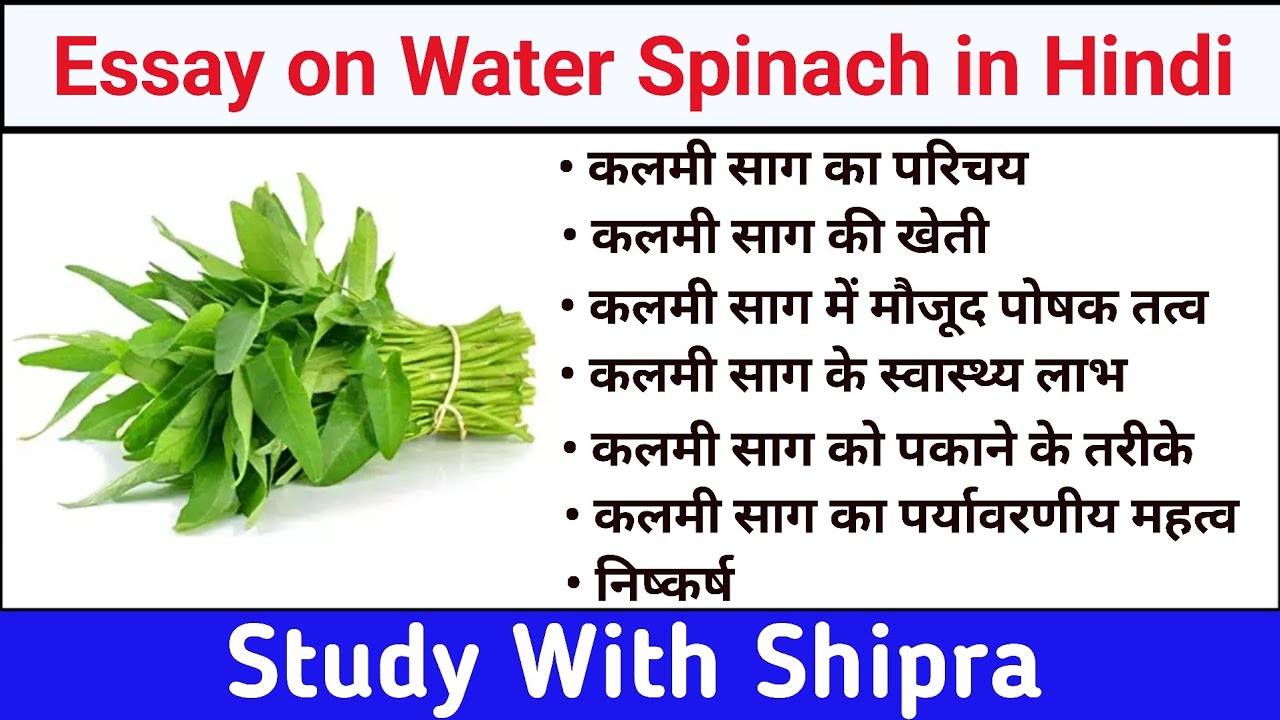 Essay on Water Spinach in Hindi | कलमी साग पर निबंध | कलमी साग |# ...