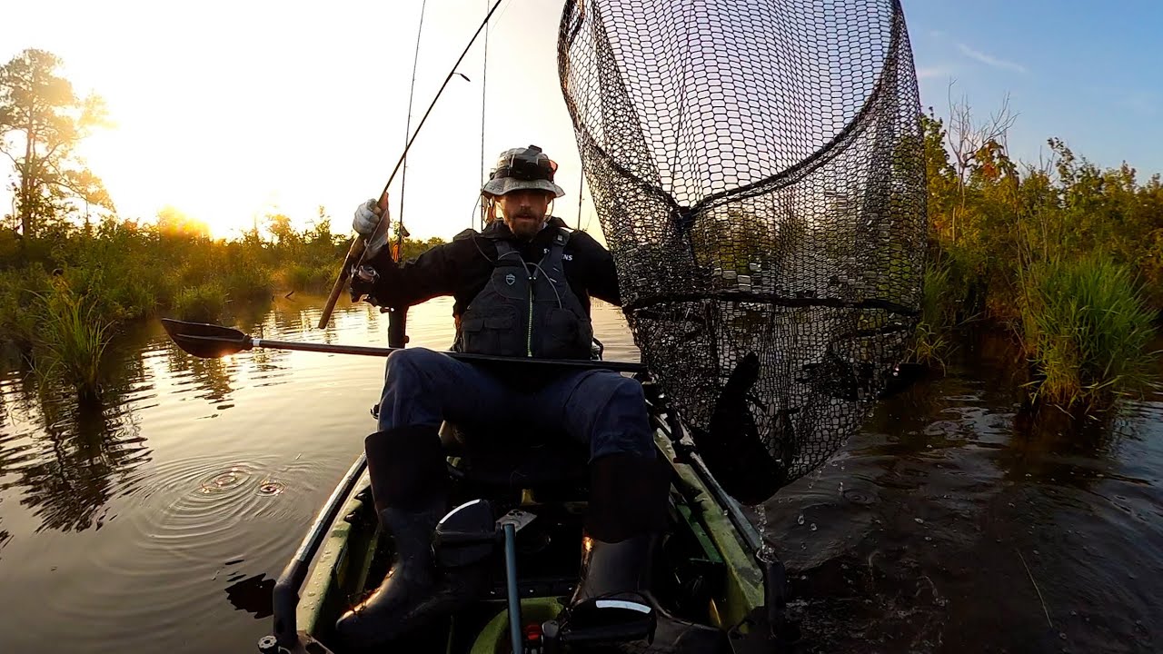 Snakehead Fryball Popping in Blackwater: Not What It Once Was ...