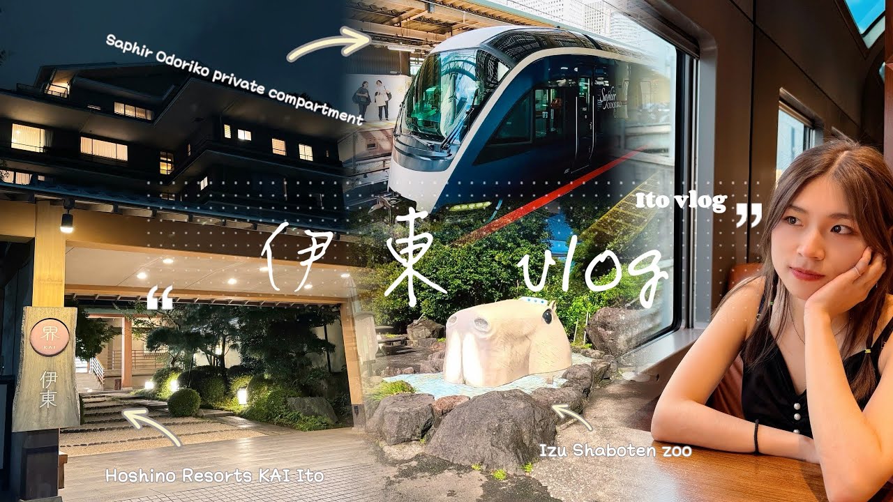 【Ito vlog】伊東之旅 Ito Trip| Saphir Odoriko 觀光列車，伊豆仙人掌動物園 Izu Shaboten Zoo ...