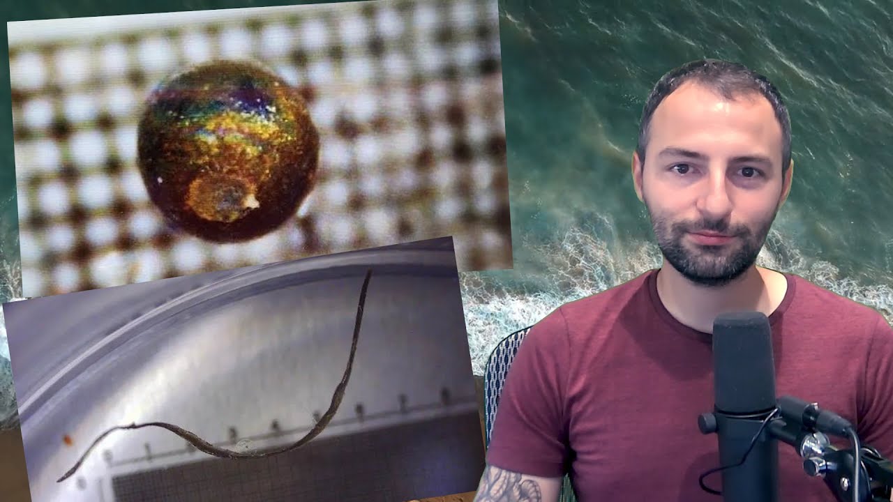 ¿Qué es IM1? El misterioso objeto submarino que podría ser una NAVE ...