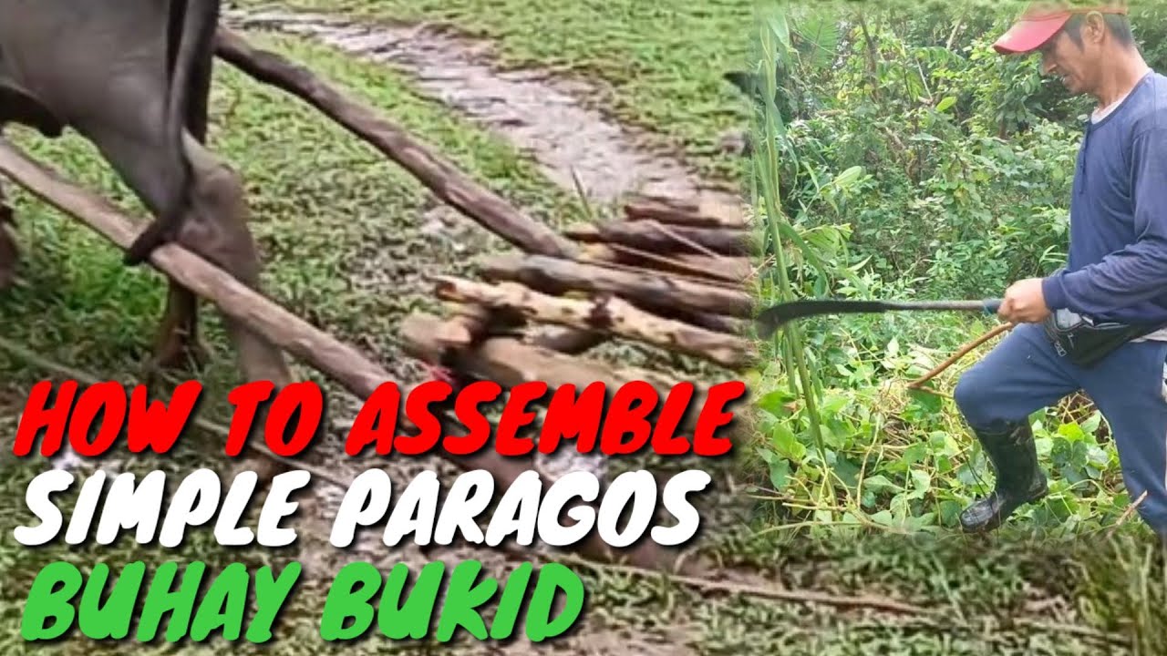 PAANO GUMAWA NG PARAGOS,GAWAIN SA BUKID/COUNTRYSIDE - YouTube