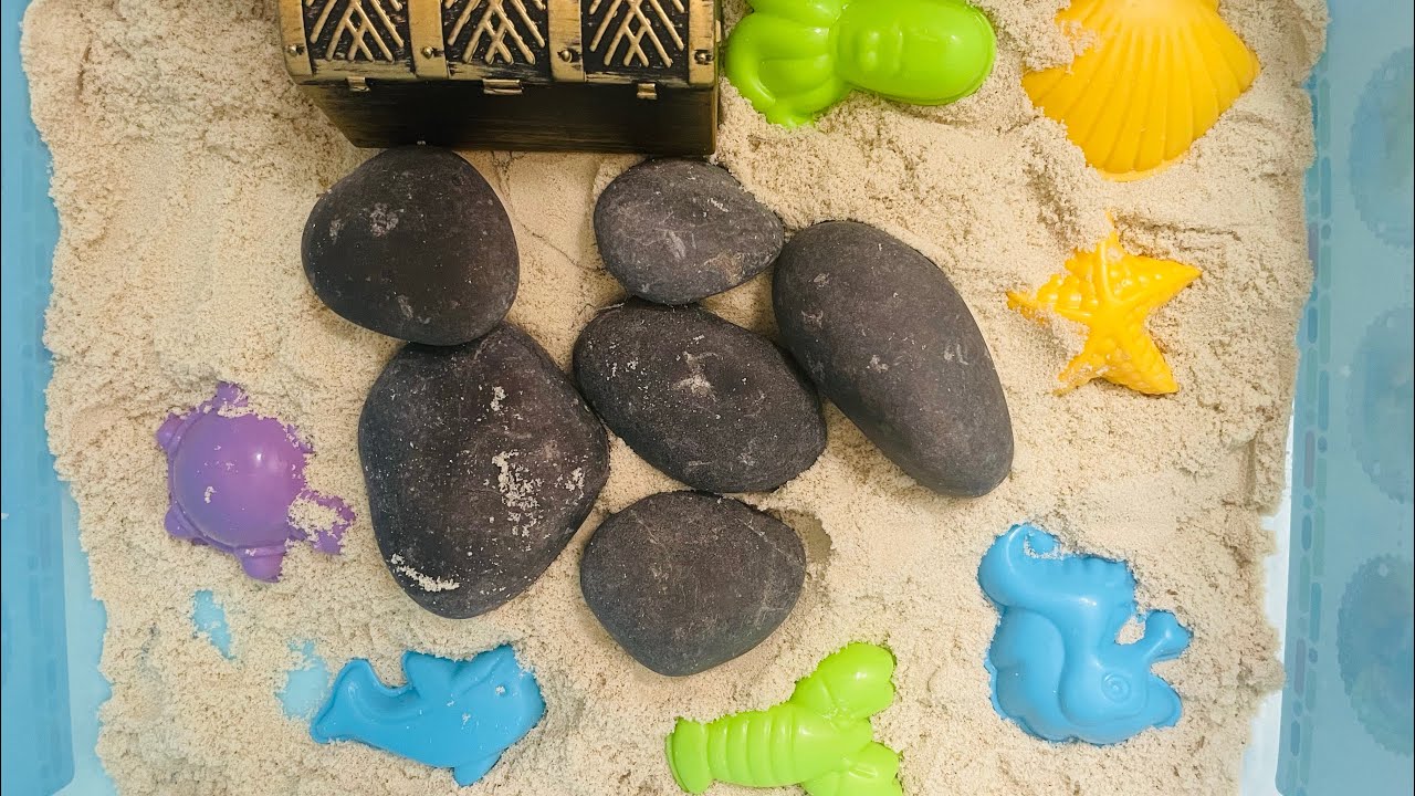 Ocean Animals in the Sand! Search for animals, and hidden treasure ...