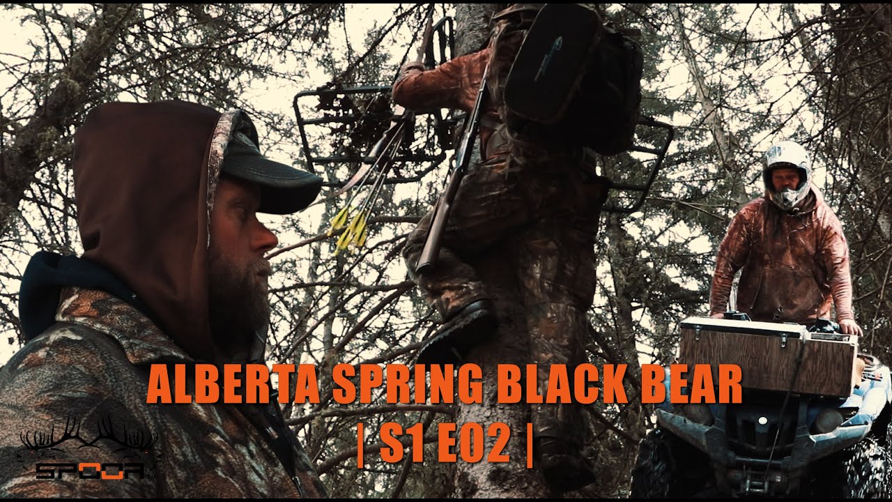 Alberta Spring Black Bear Trailer | S1E02 | SPOOR - YouTube