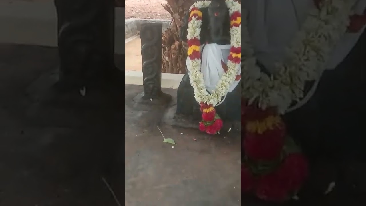 arasamaram vepamaram amarendrakom pillayar Tirupur, 🍎🍎🍎🍎👨‍👨‍👧‍👧👨‍👨‍👧‍👧👨 ...