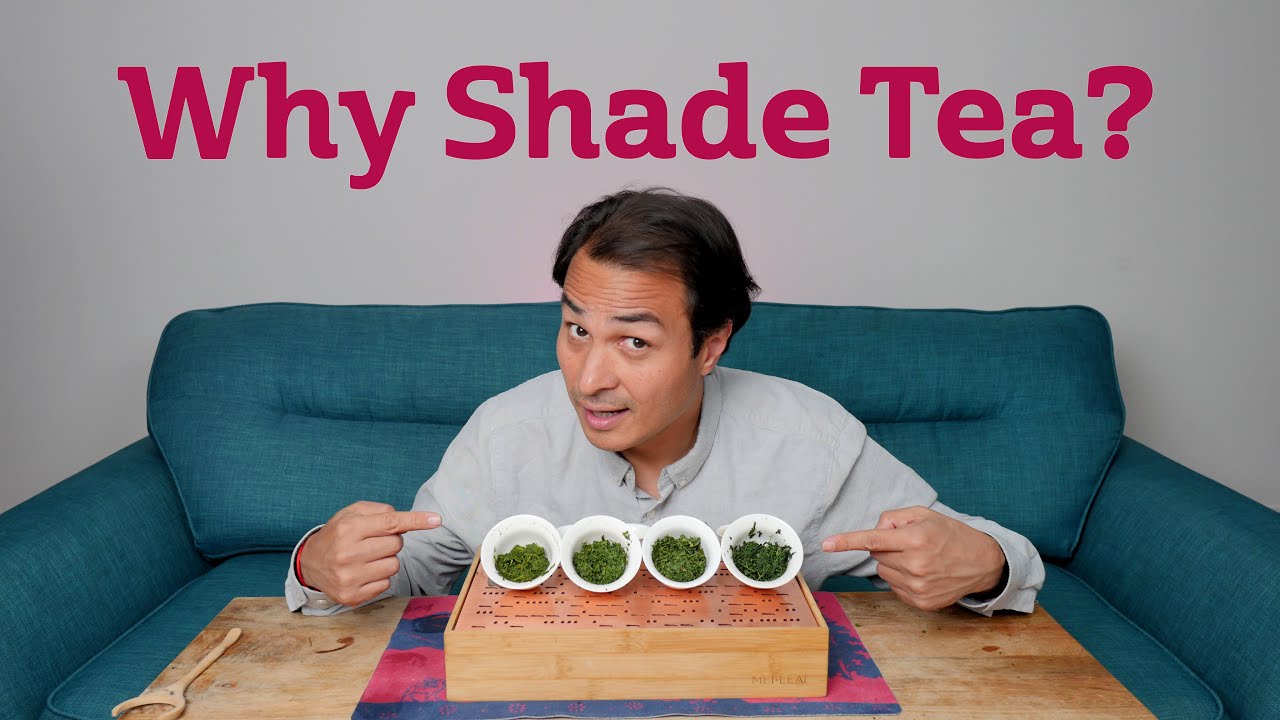 The Art of Tea Shading - TASTING THE INCREDIBLE DIFFERENCE - YouTube