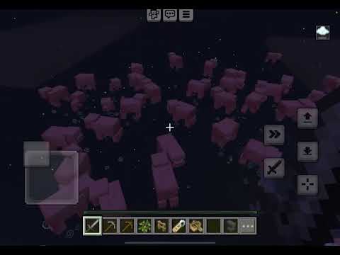 When pigs fly on Friday - YouTube
