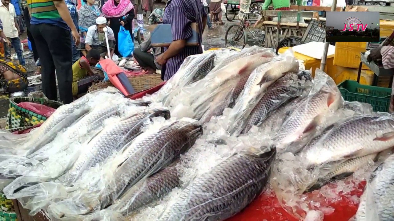 Fish market 2019, Jatrabari fish market. Katla & Rohu fish - YouTube