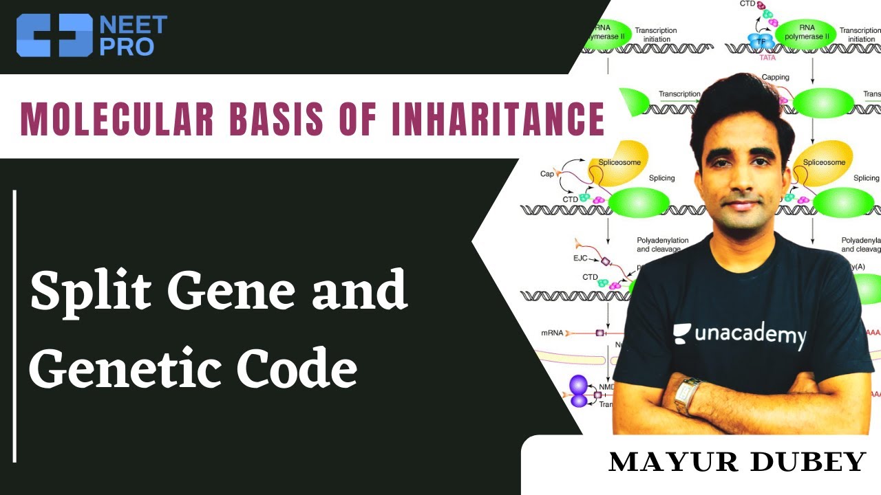 Split Gene and Genetic Code | NEET 2021 | NEET BIOLOGY | Mayur Dubey ...