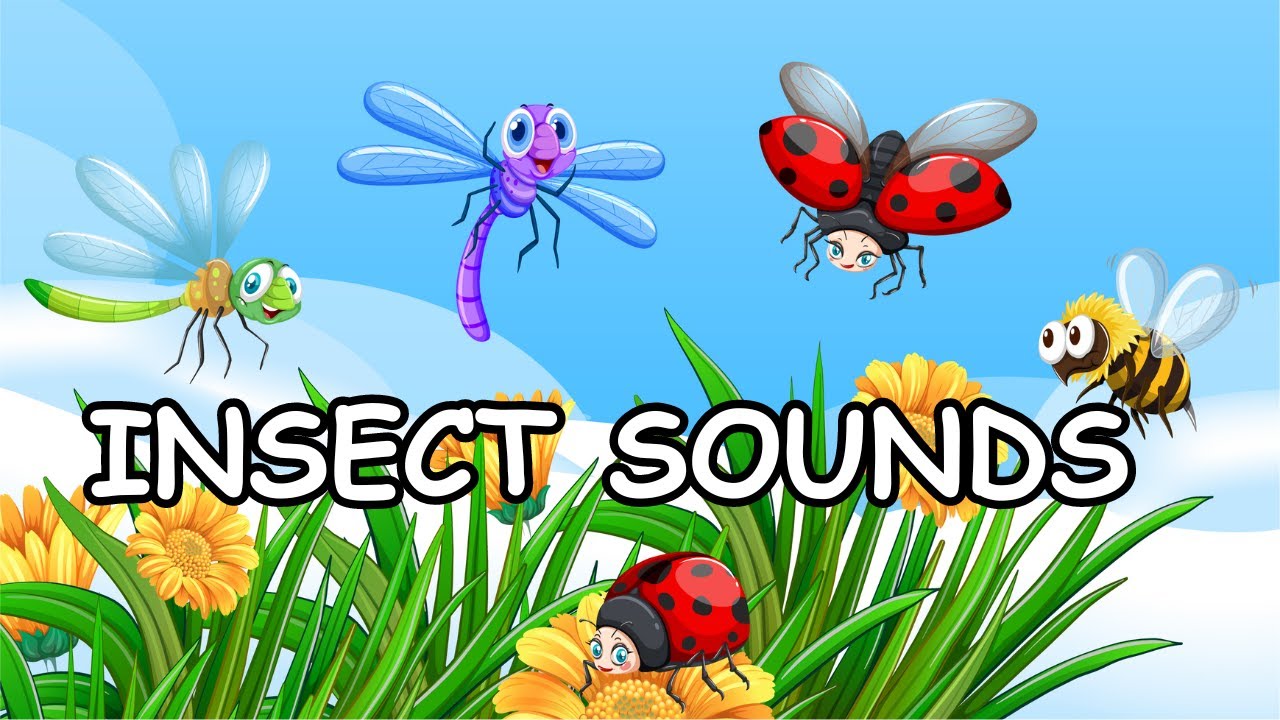 Insect Sounds Song: Learn Animal Sounds for Kids | Nursery Rhymes for ...
