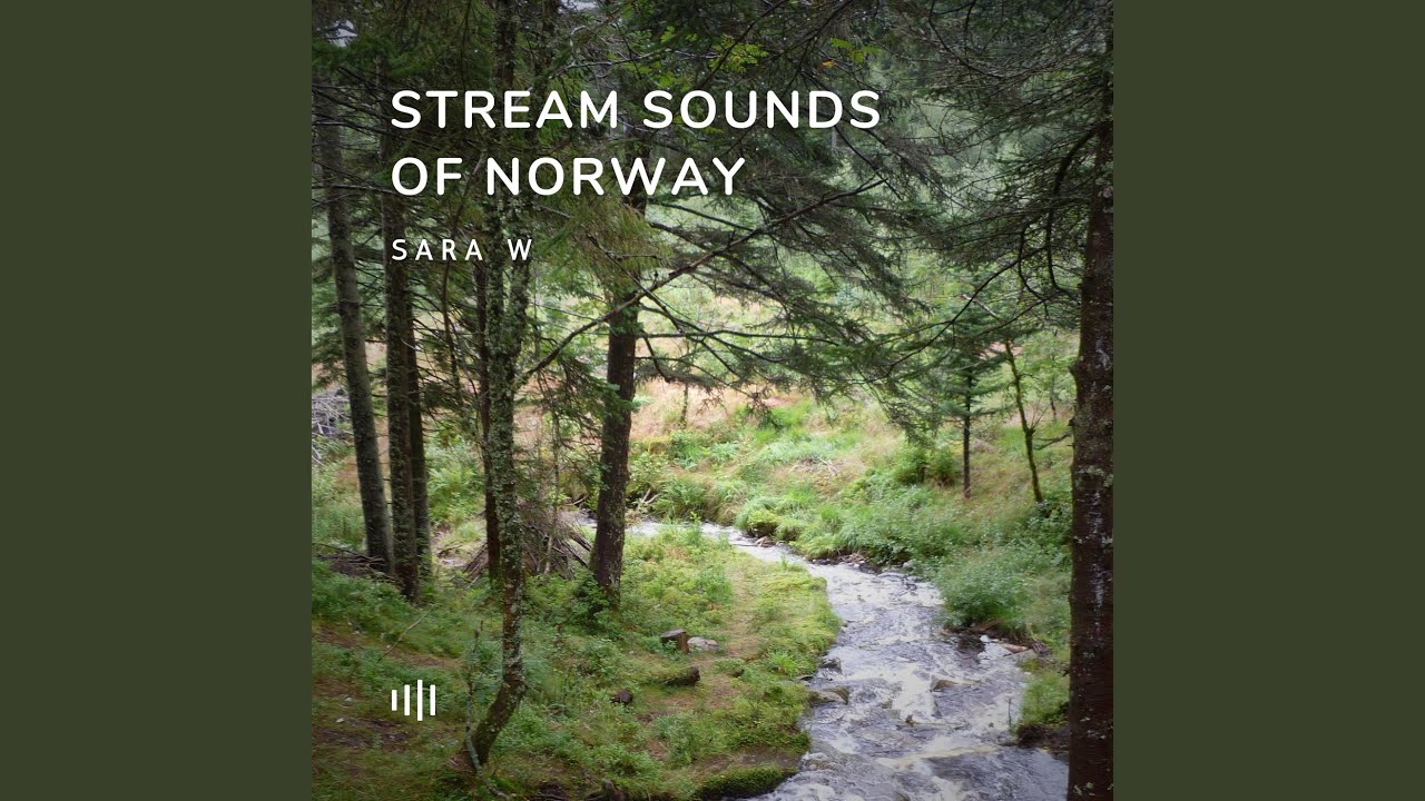 Water Stream Into Norwegian Mountain Lake Birdsong III (loopable) - YouTube