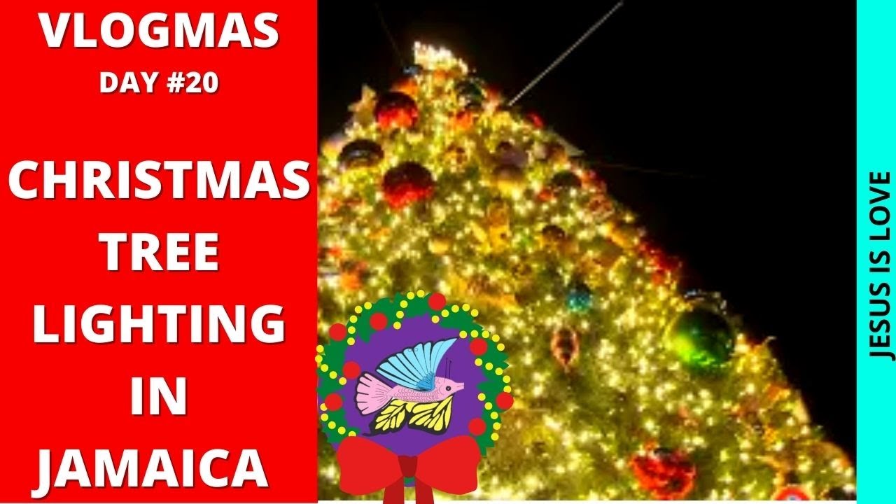 TREE LIGHTING CEREMONY IN JAMAICA/CHRISTMAS TREE LIGHTING/JAMAICA VLOG ...