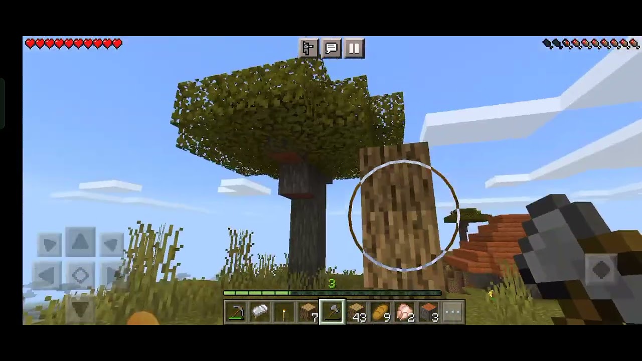 Minecraft se 1 part 2#goal roaster - YouTube