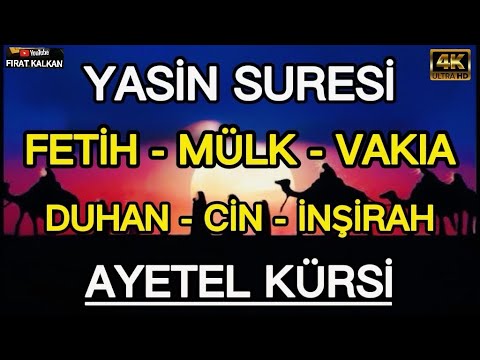 Yasin Suresi - Fetih  - Mülk - Vakıa  - Duhan Suresi - Cin Suresi - İnşirah ve Ayetel kürsi Dinle🎧