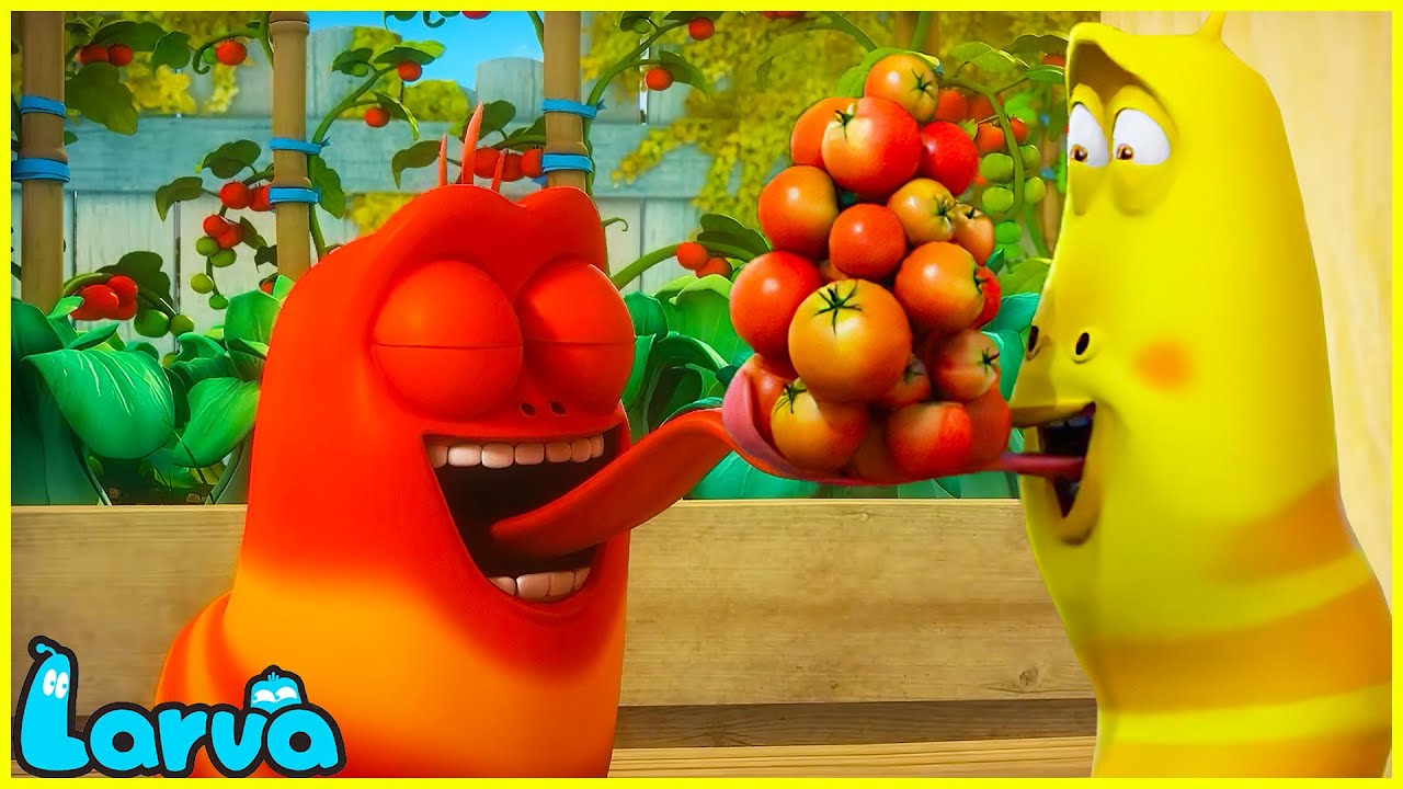 LARVA TUBA 🍎🐛🍎Feeding🍎🐛🍎 ẤU TRÙNG TINH NGHỊCH🍎🐛🍎LARVA FAMILY 2023 - YouTube