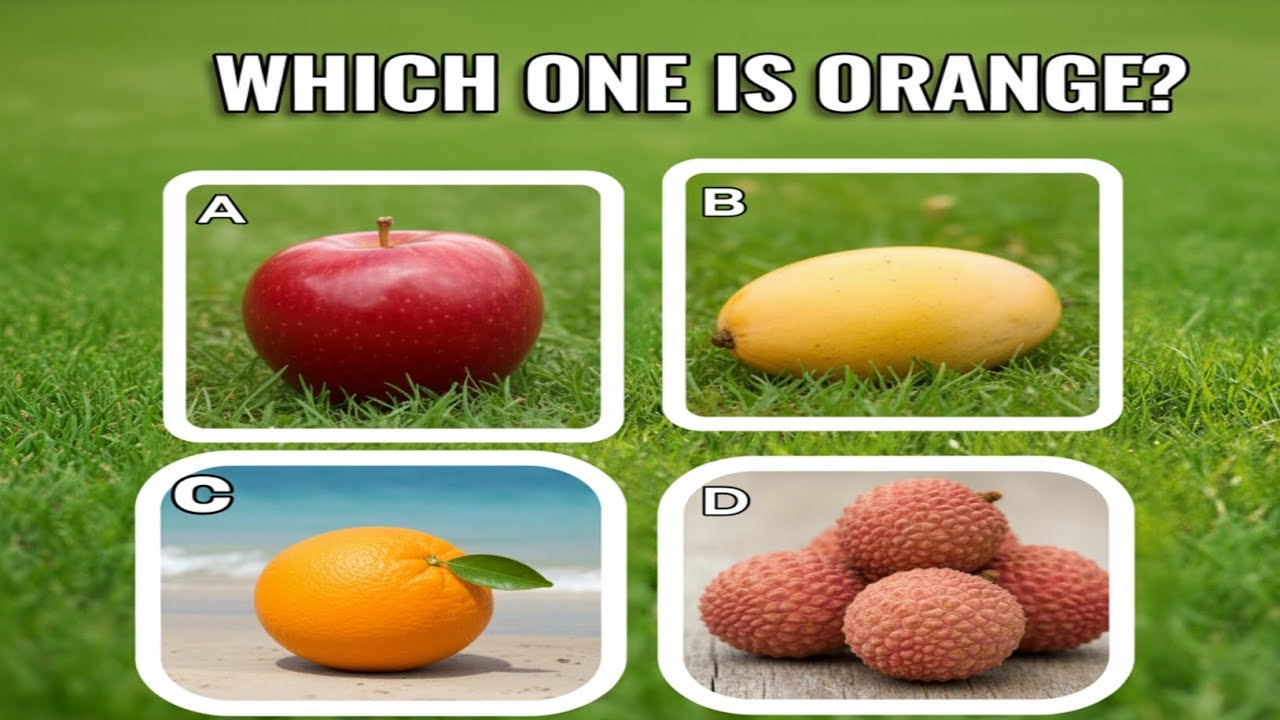 Kids Quiz : identify the right one | Fun quiz challenge 🤔 - YouTube