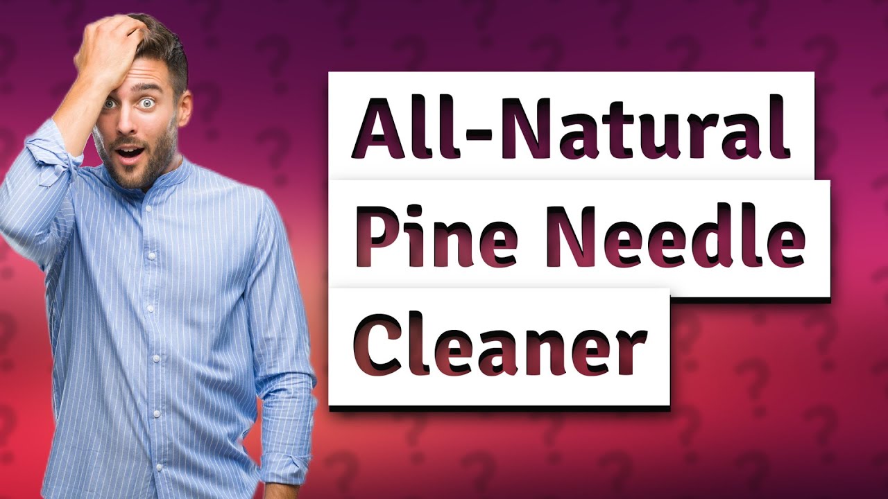 How Can I Make an Effective All-Natural Pine Needle Cleaner? - YouTube