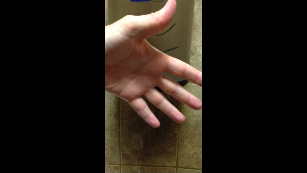 Palmer Fixture BluStorm High Speed Hand Dryer - YouTube