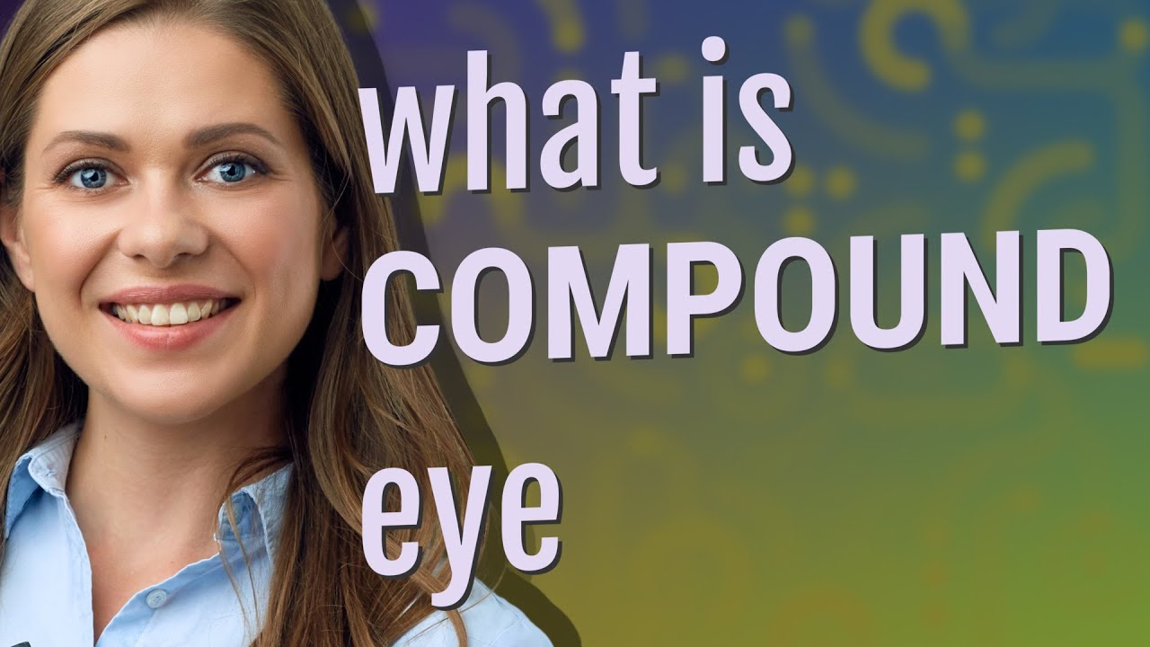 Compound eye | meaning of Compound eye - YouTube