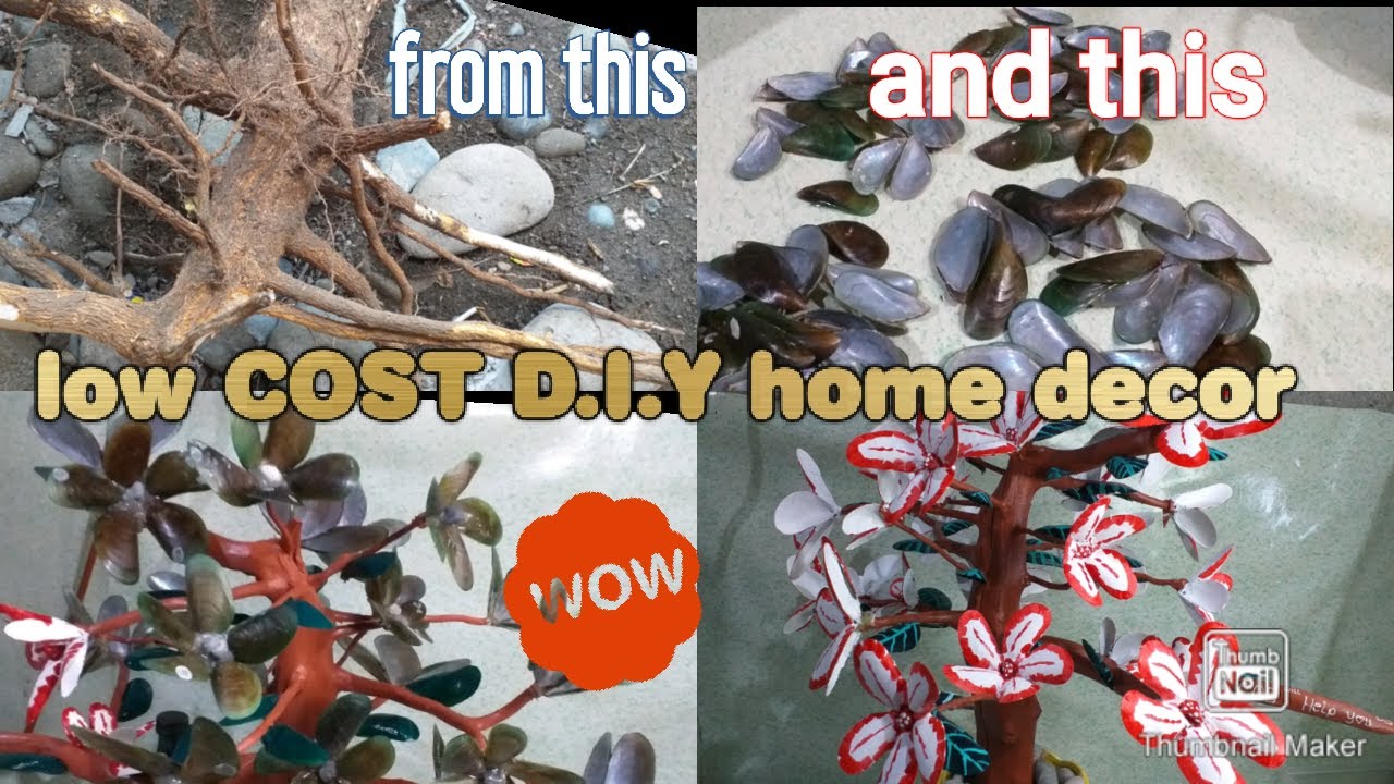 MUSSELS SHELLS DIY HOME DECORATIONS - YouTube