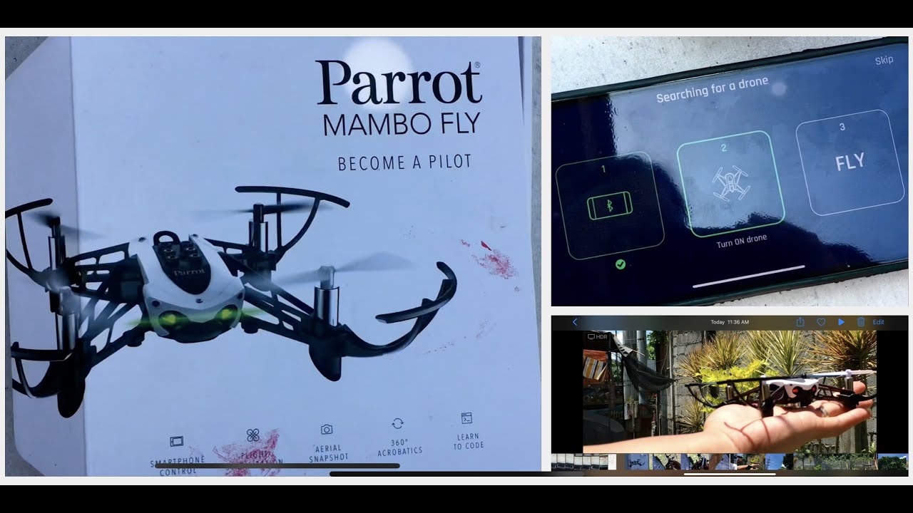 Parrot Mambo Fly Drone - YouTube