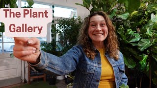 Plant Shop Tour | The Plant Gallery