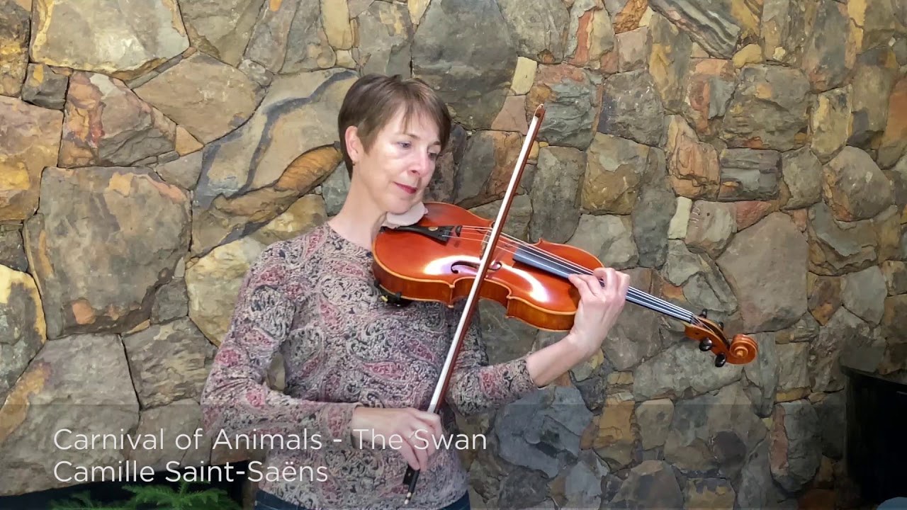 Meet the Viola (part 2) | Learning Through Music - YouTube