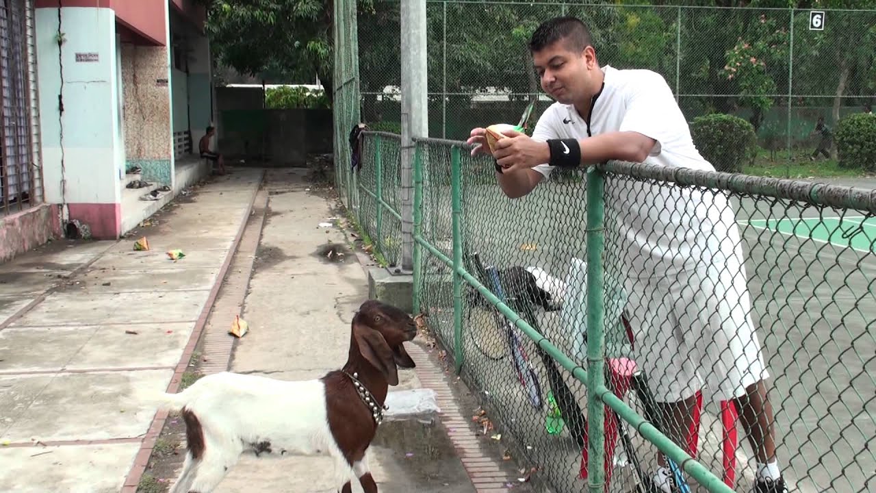 Chagol Eating Potato-Crackers .... LoL - YouTube