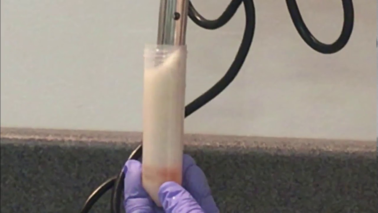 Homogenization of Gummy Edibles - YouTube