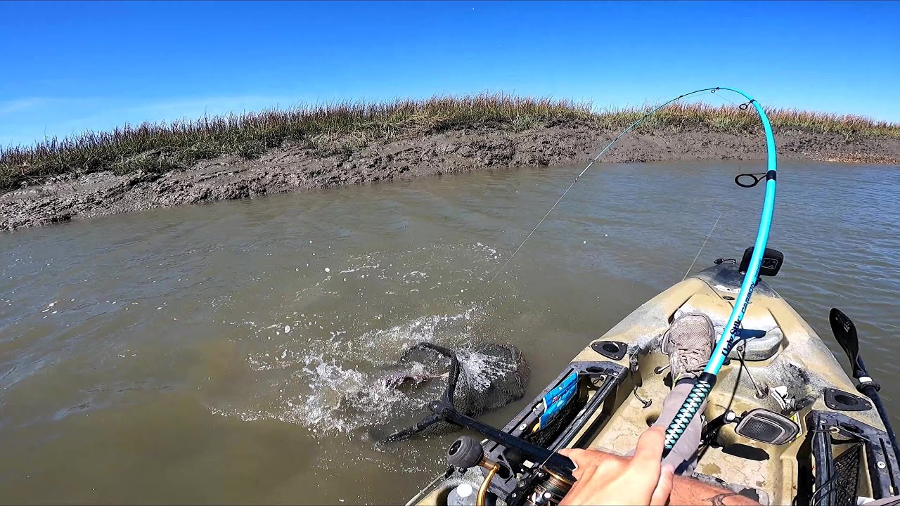 I CAUGHT THE SAME EXACT FISH 3 TIMES!!! - YouTube