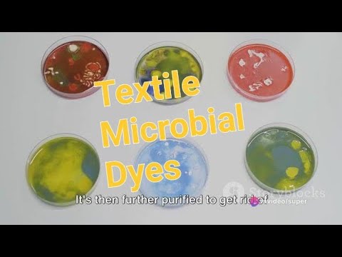 the Colorful World of Microbial Dyes! (@b_barodawalas777 ) - YouTube