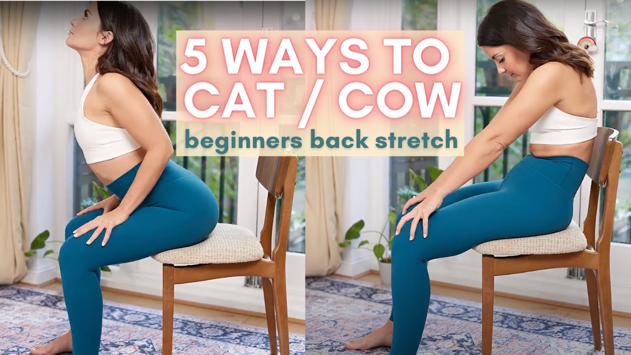 HOW TO CAT COW YOGA STRETCH 🐱 5 VARIATIONS 🐮 | WELL WITH HELS - YouTube