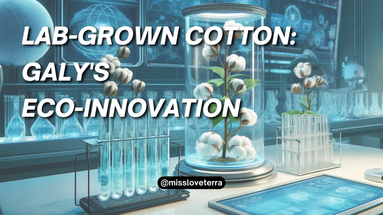 Lab-Grown Cotton: Galy's Game-Changing Innovation for the Fashion ...