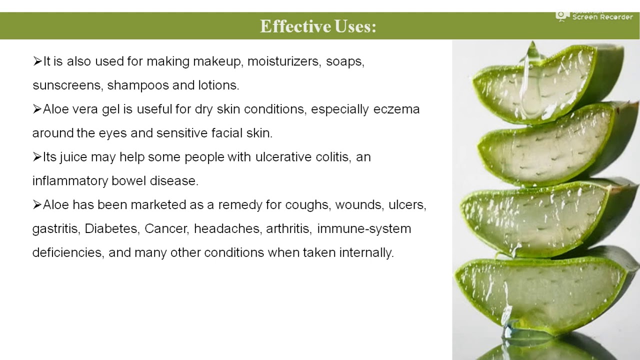 Package of Practices for Growing Aloe vera by Prof. A. C. Jadhav - YouTube