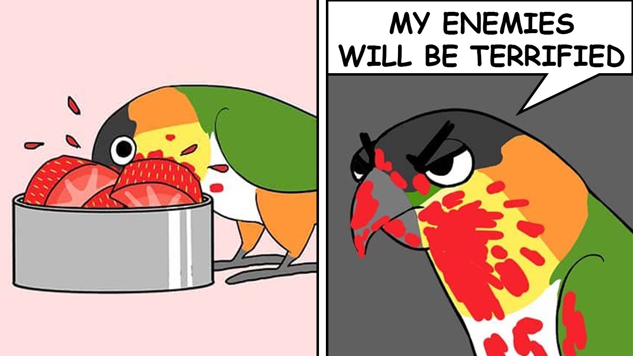 Funny Comics With Parrot Thought Twist #5 | Parrot Comic Dub - YouTube