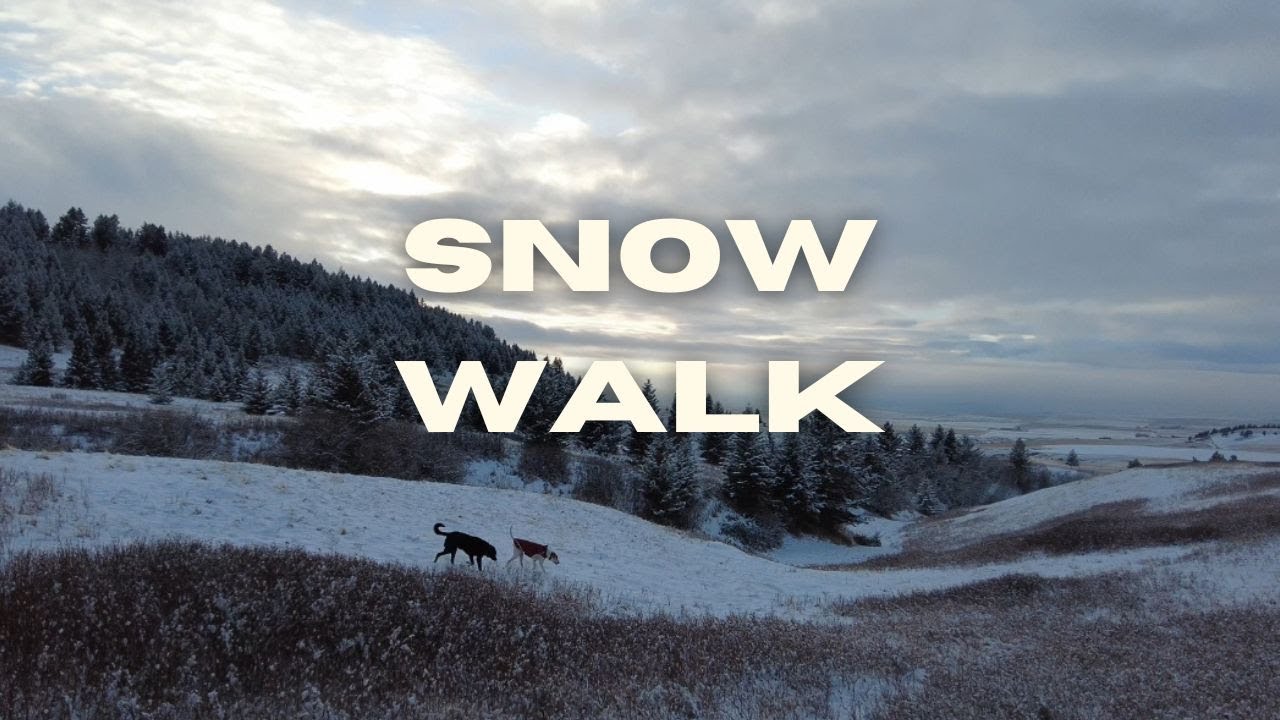 snow day walk in the canadian countryside, focus beats for relaxation ...